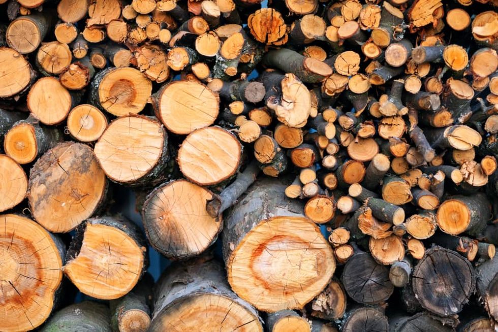Lignite And Wood Based Activated Carbon | United States